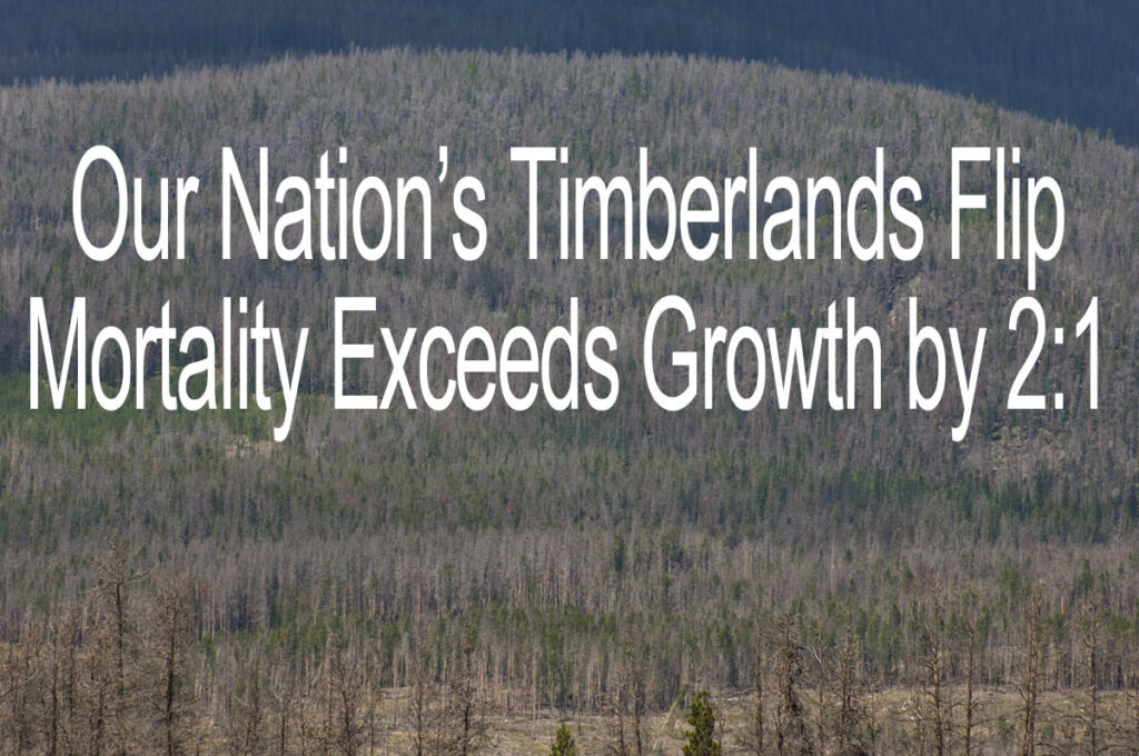 Forest Mortality Exceeds Growth For the First Time – Climate Discovery